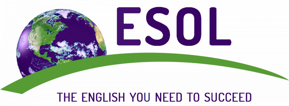 The English You Need to Succeed - English for Speakers of Other ...