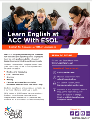 The English You Need to Succeed - English for Speakers of Other ...